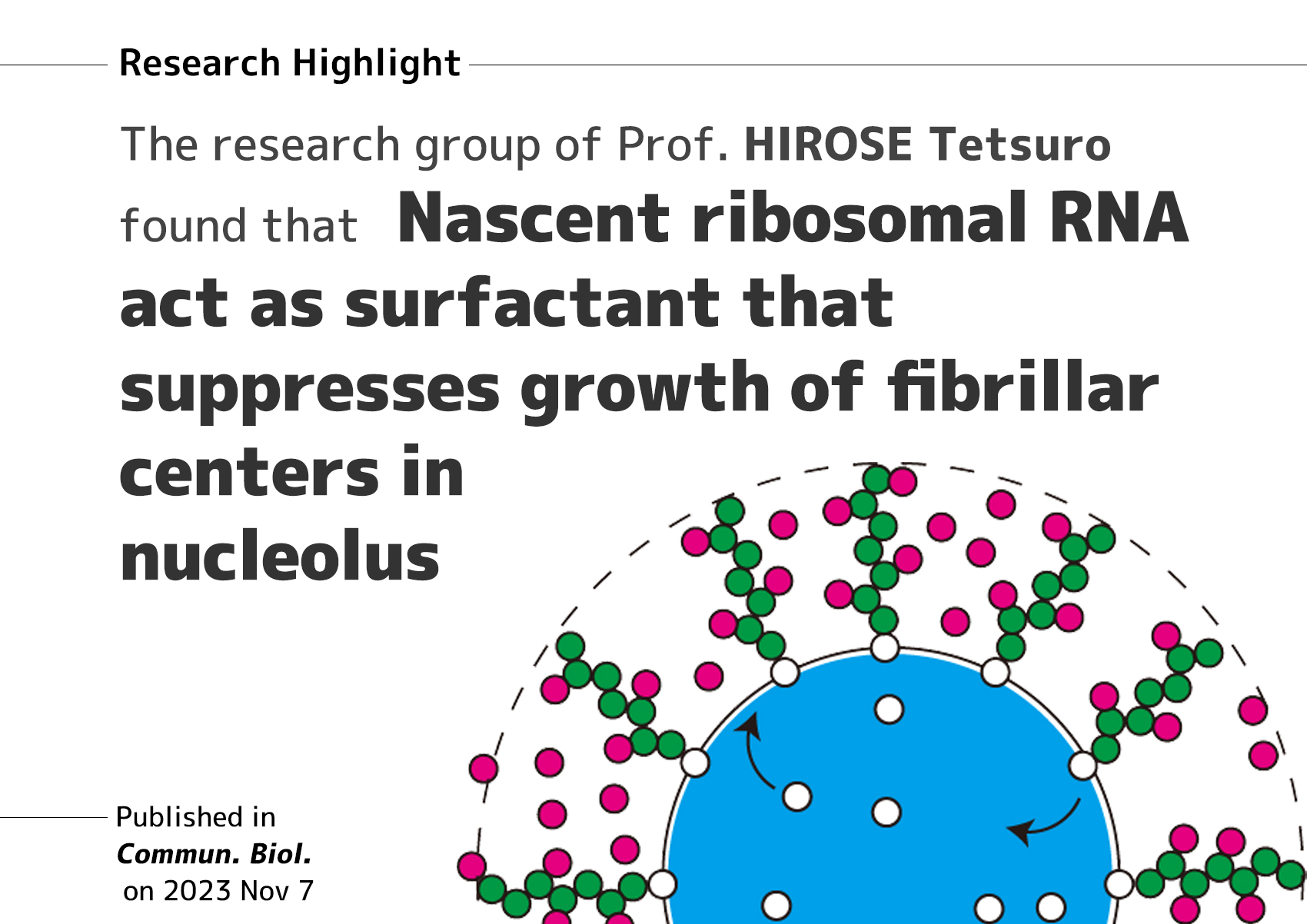Graduate School of Frontier Biosciences, Osaka University