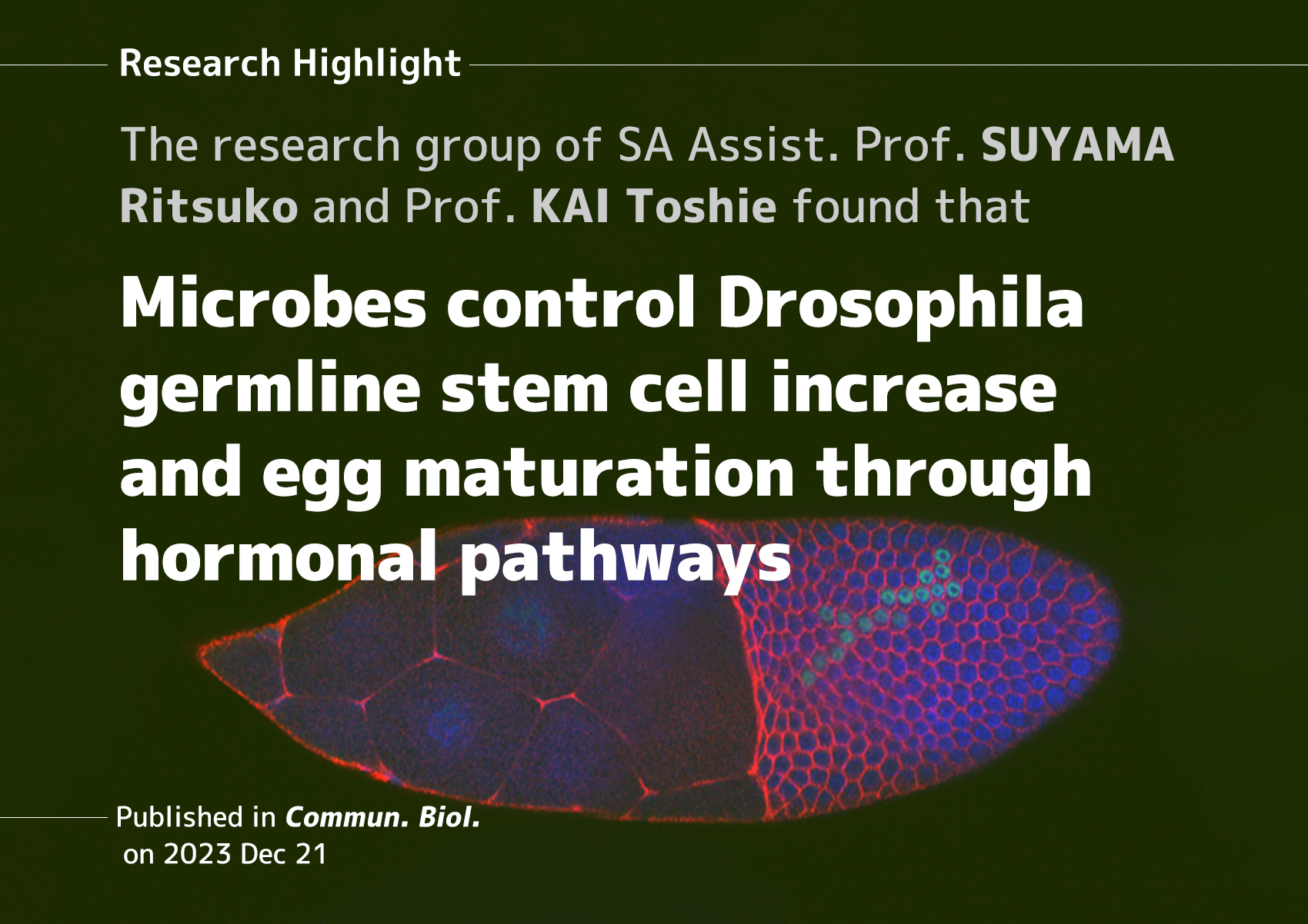 Graduate School of Frontier Biosciences, Osaka University