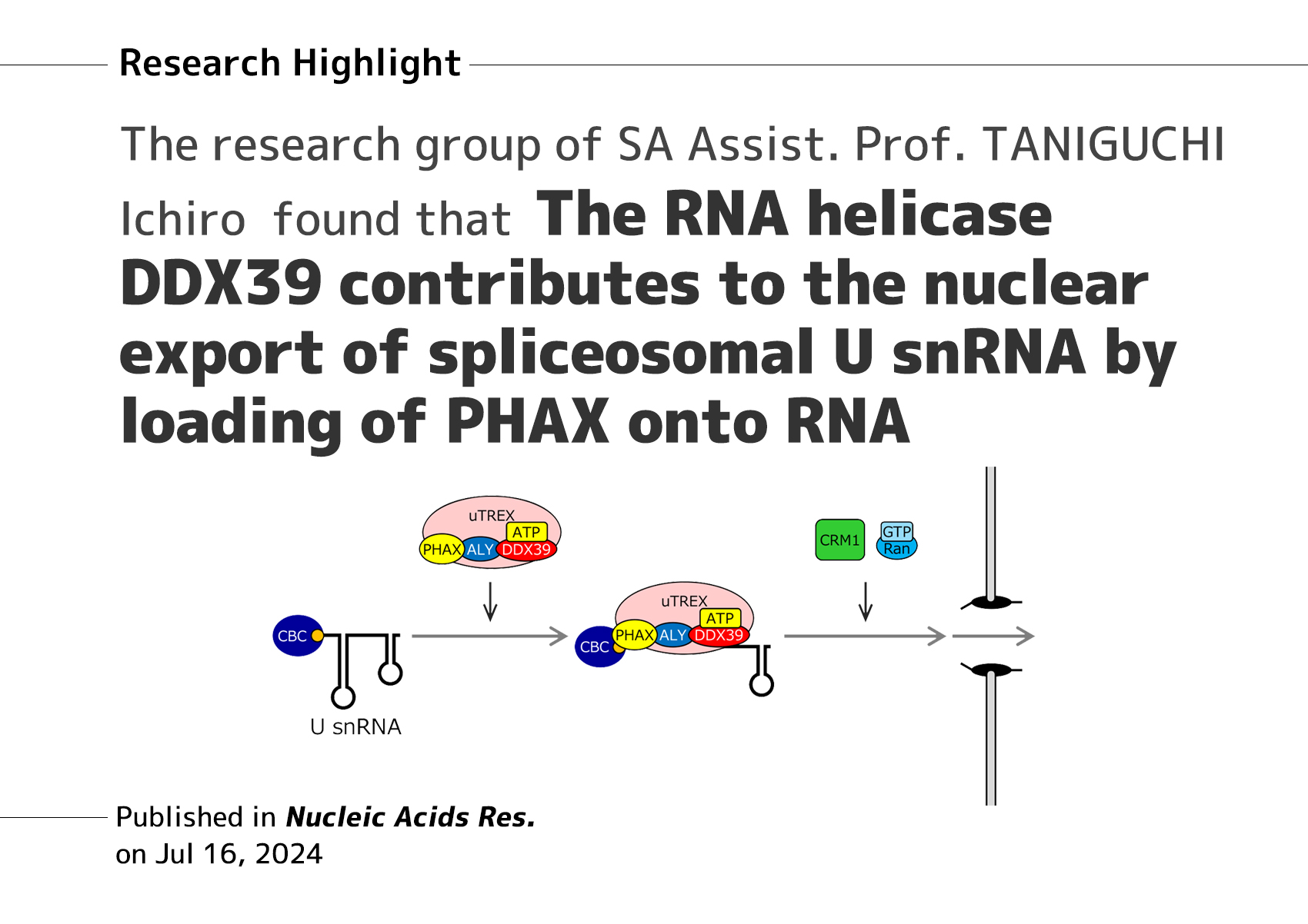 Graduate School of Frontier Biosciences, Osaka University