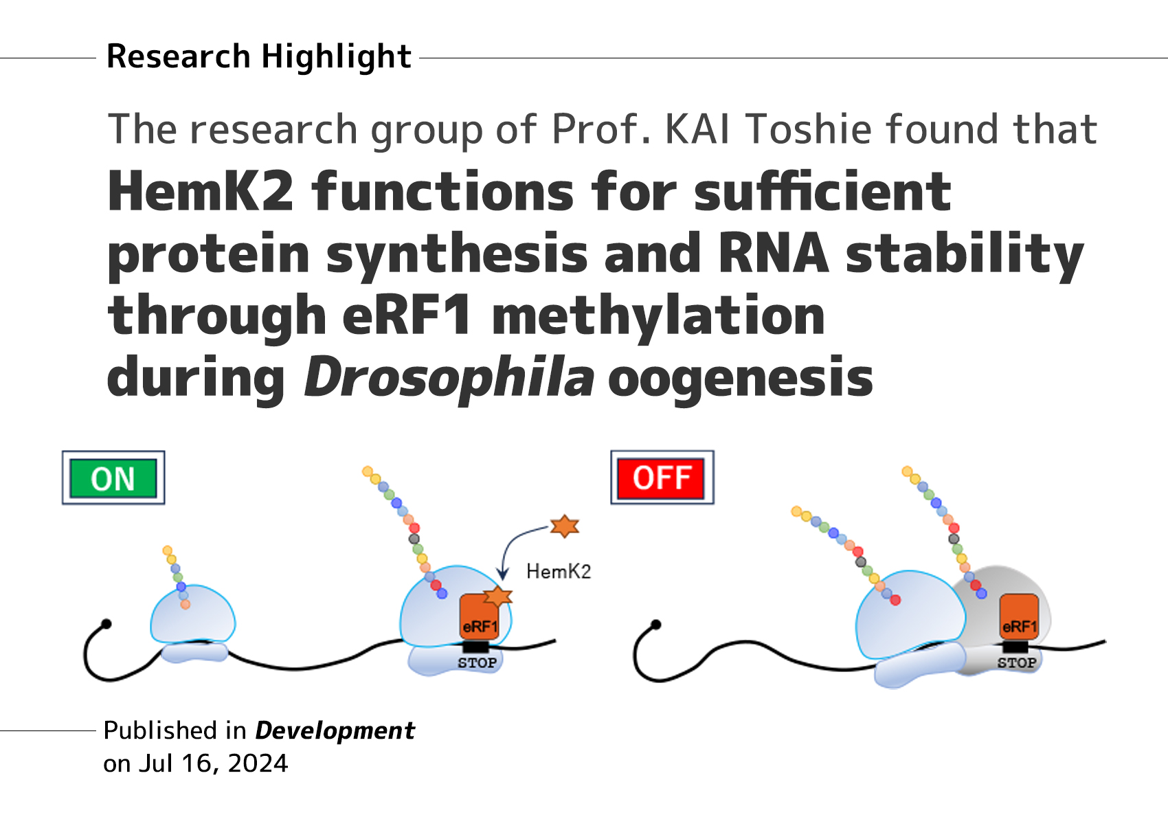 Graduate School of Frontier Biosciences, Osaka University