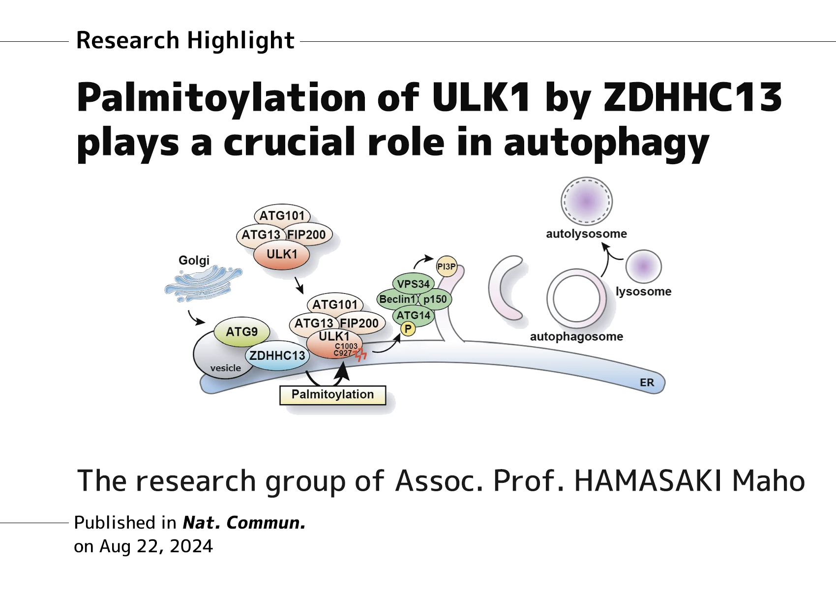 Graduate School of Frontier Biosciences, Osaka University