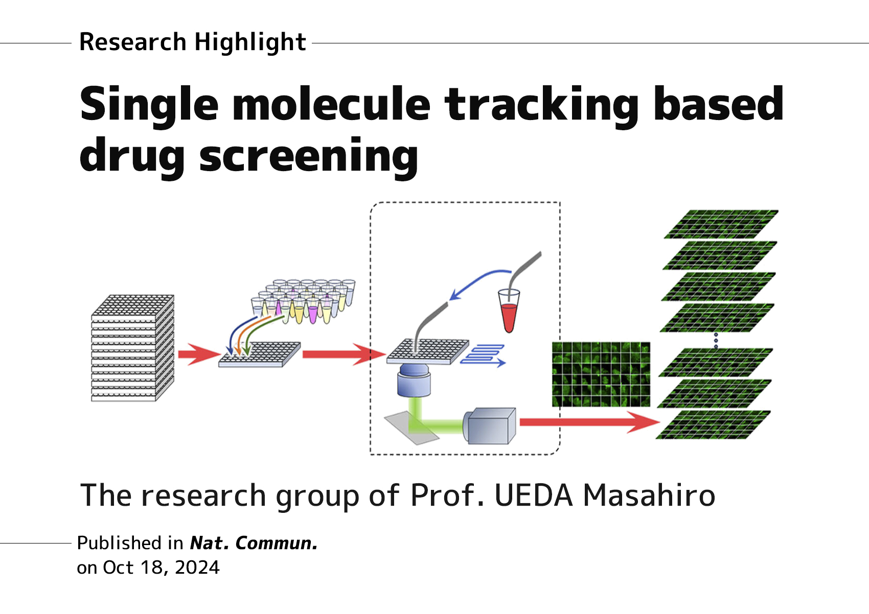 Graduate School of Frontier Biosciences, Osaka University